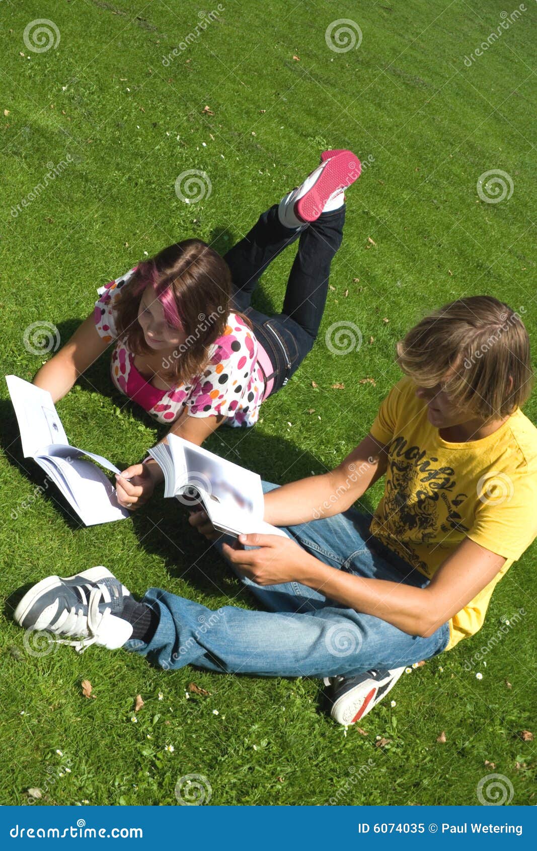 Summer study stock image. Image of dutch, reading, field - 6074035