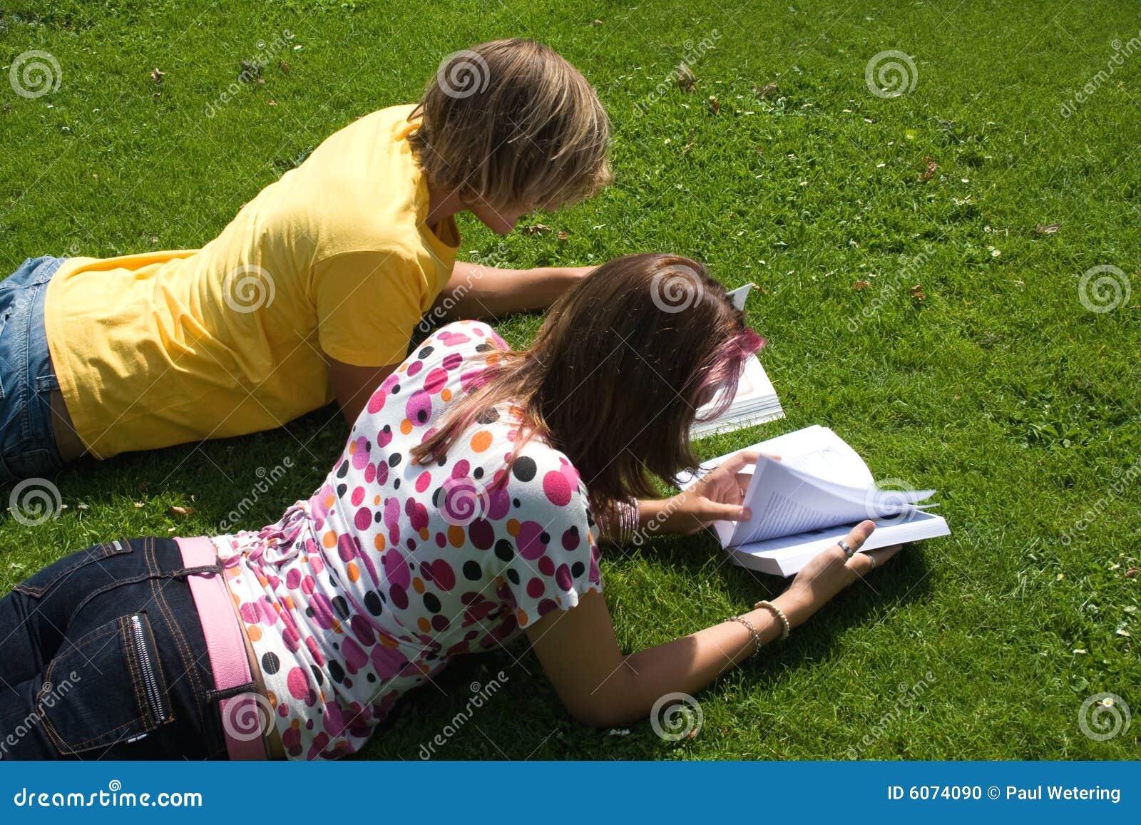 Summer study stock photo. Image of male, gras, books, smile - 6074090