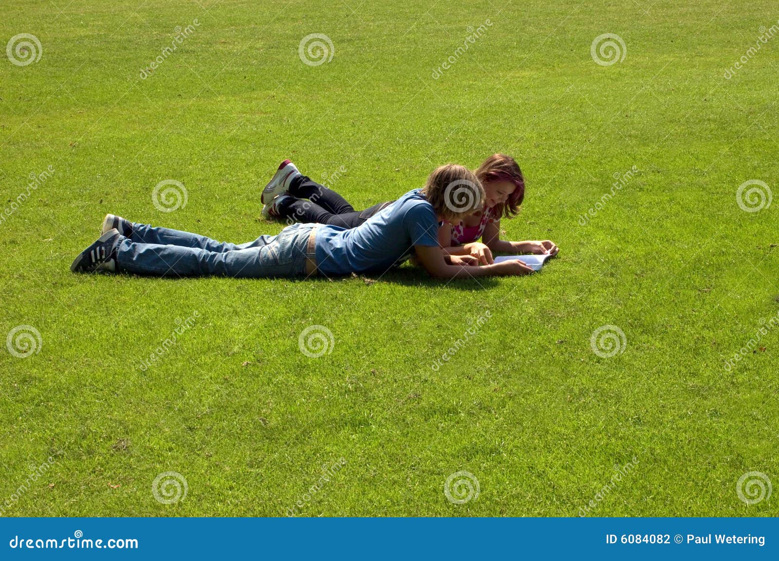 Summer study stock photo. Image of gras, adults, field - 6084082