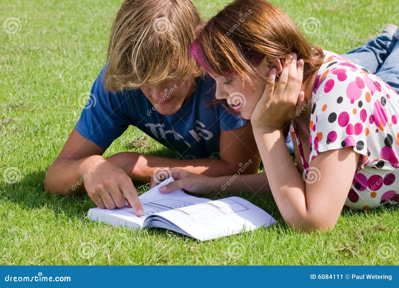 Summer study stock image. Image of people, read, happiness - 6084111