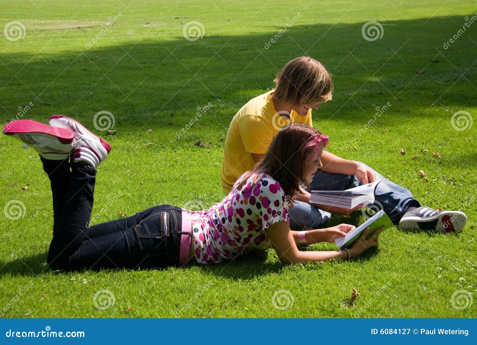 Summer study stock image. Image of sitting, green, read - 6084127