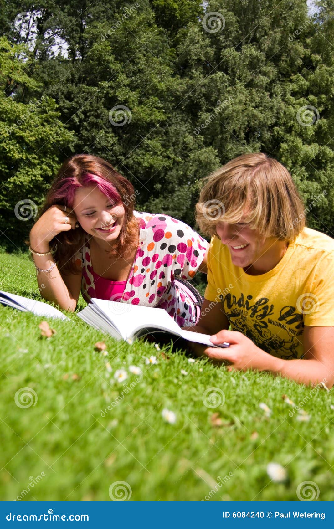 Summer study stock photo. Image of blue, reading, happiness - 6084240