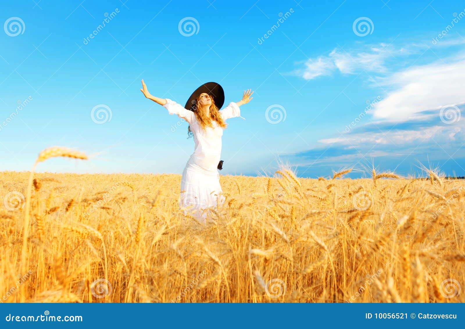 Summer sun stock image. Image of pretty, season, flower - 10056521