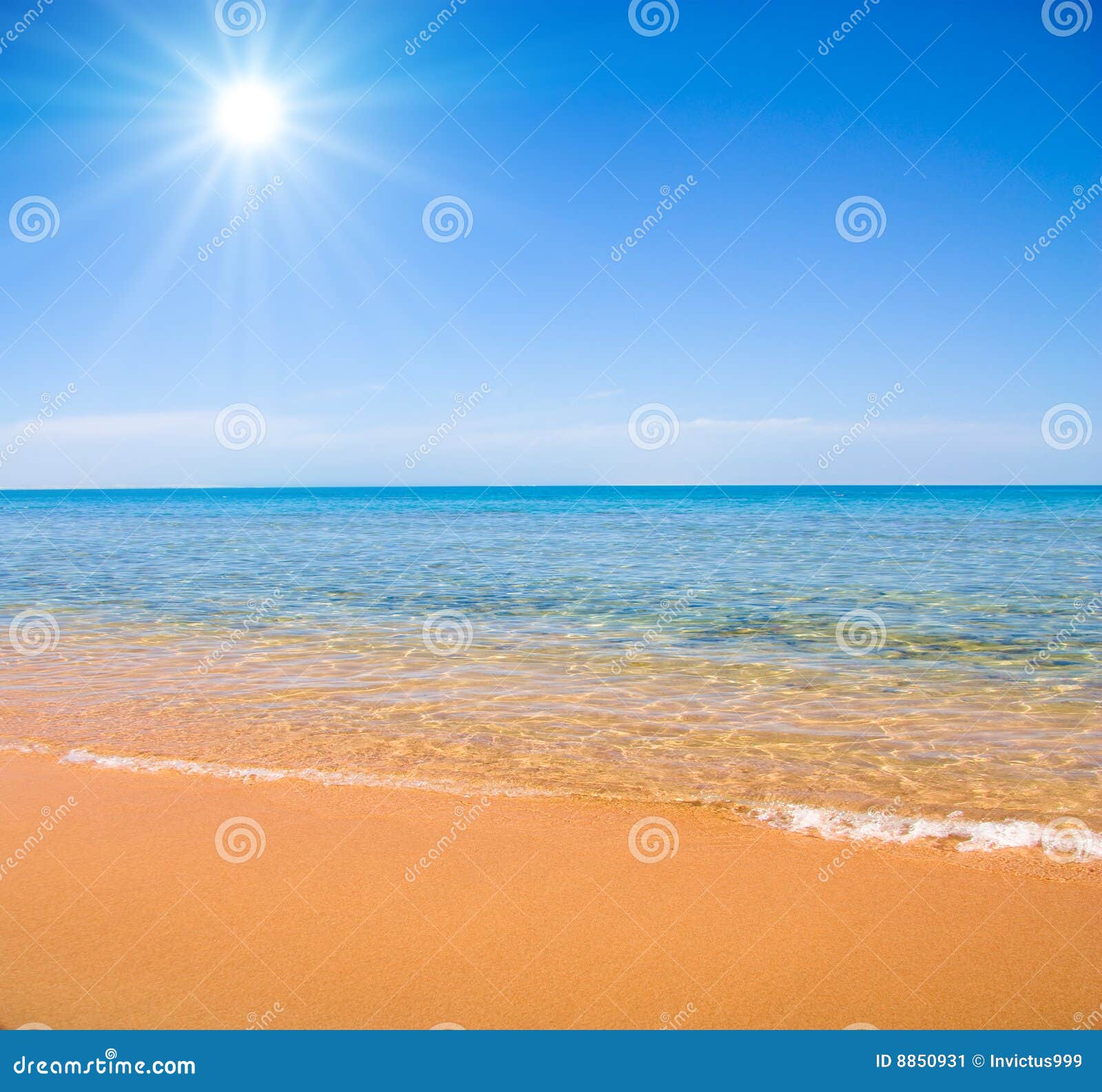 Summer sun stock image. Image of colorful, natural, beauty - 8850931