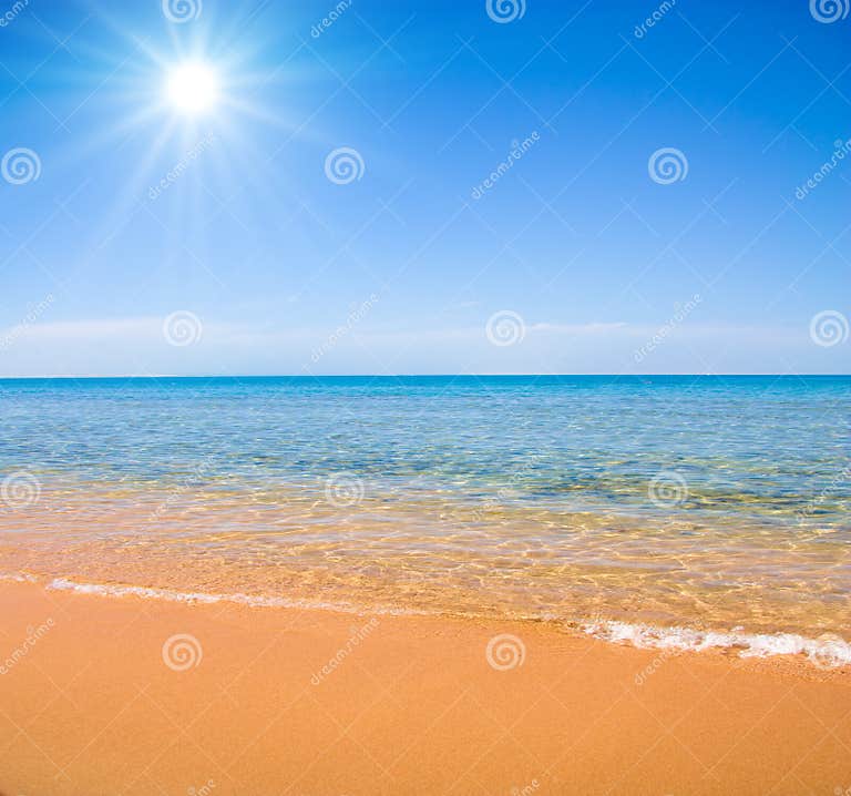 Summer sun stock image. Image of colorful, natural, beauty - 8850931
