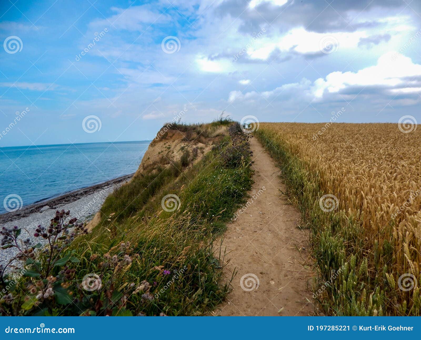 Summer, Sun, Beach, Water, Vacation Stock Image - Image of horizon ...