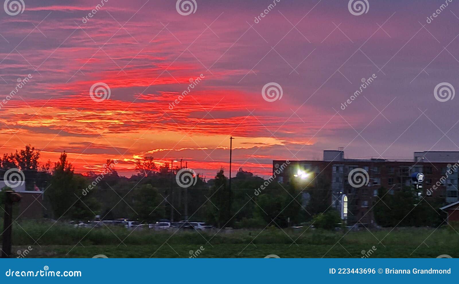 Summer Sun Rising in the Distance Stock Photo - Image of summer ...