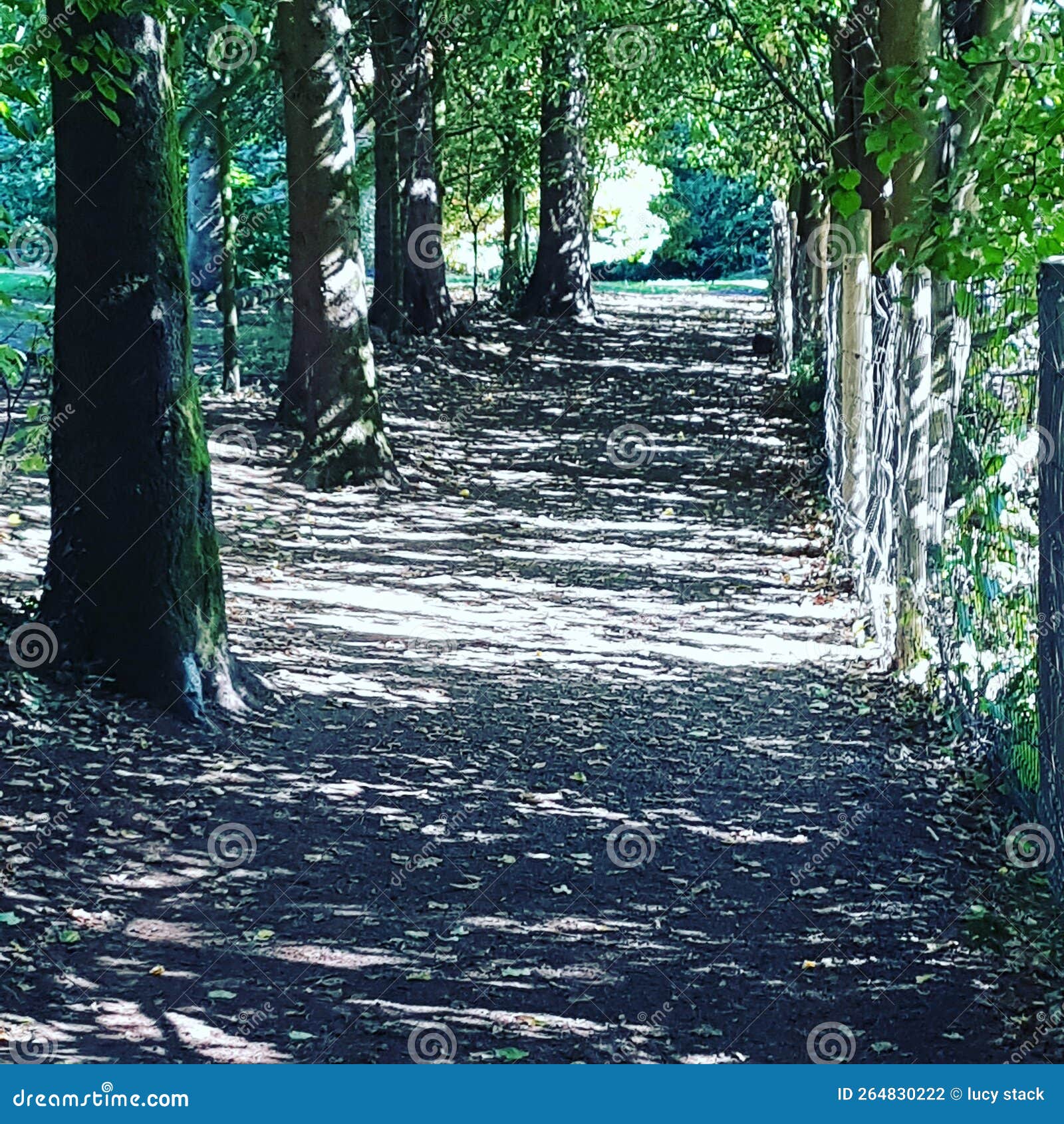 Summer sun shaded walkway stock photo. Image of walkway - 264830222