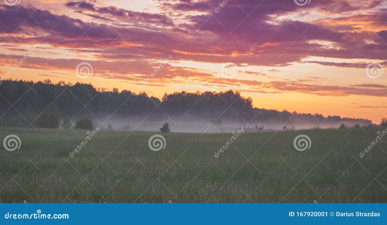 Summer sundown landscape stock image. Image of summer - 167920001