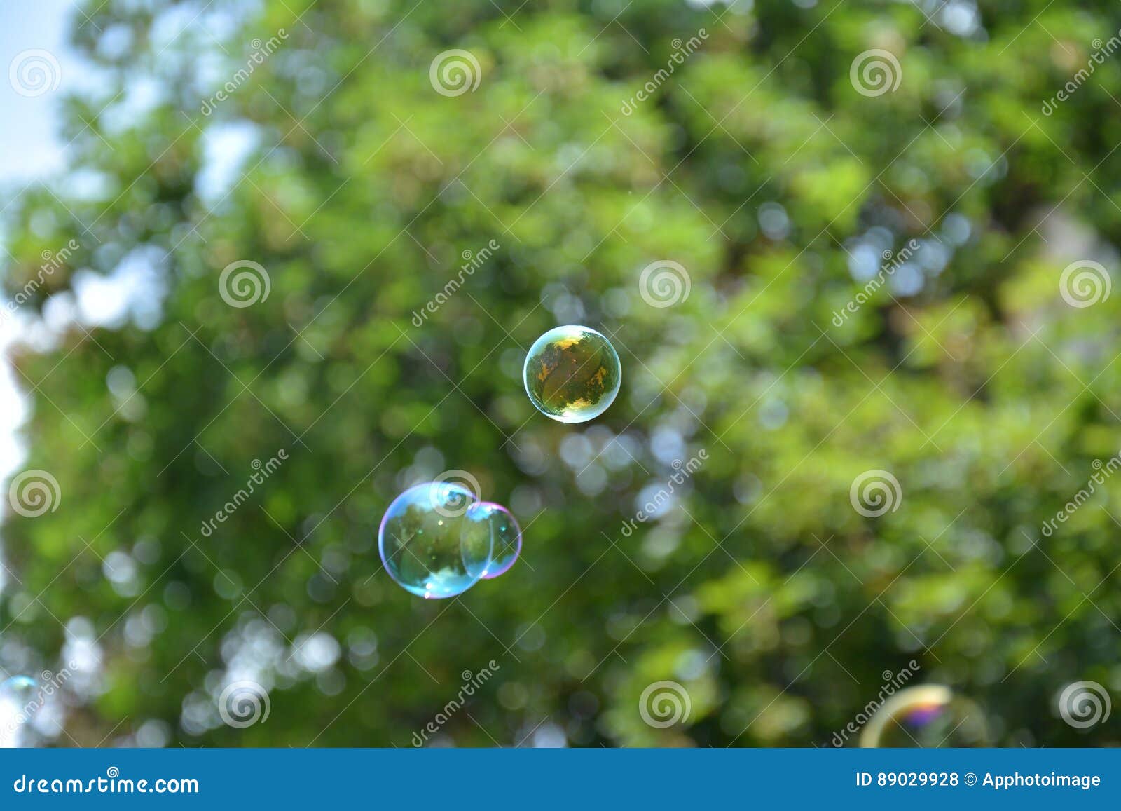 Summer Sunlight and Soap Bubbles Stock Photo - Image of freedom, colour ...