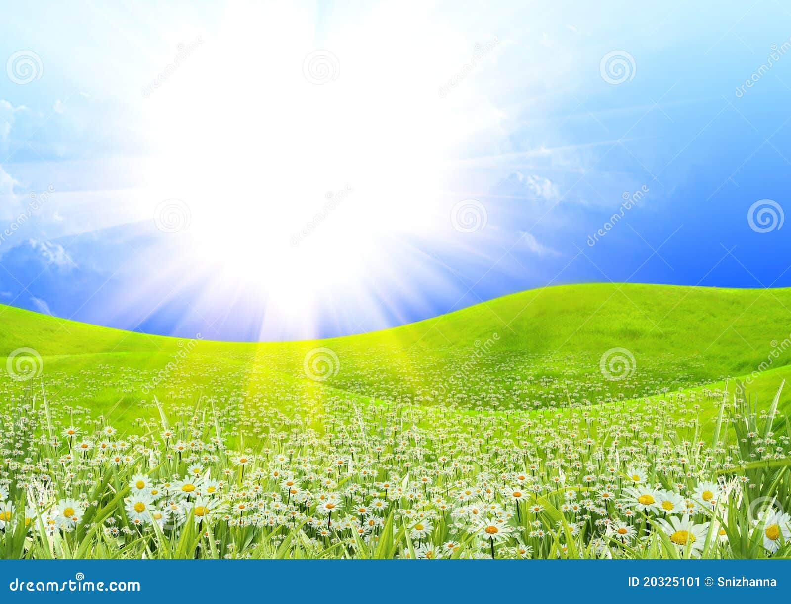 Summer sunny day stock image. Image of farm, country - 20325101