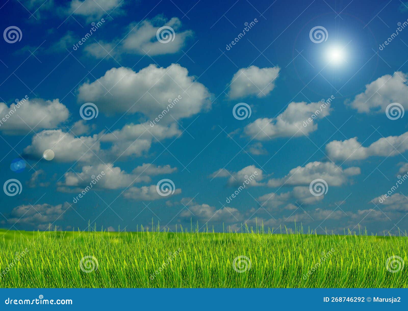 Summer sunny day and field stock photo. Image of growth - 268746292