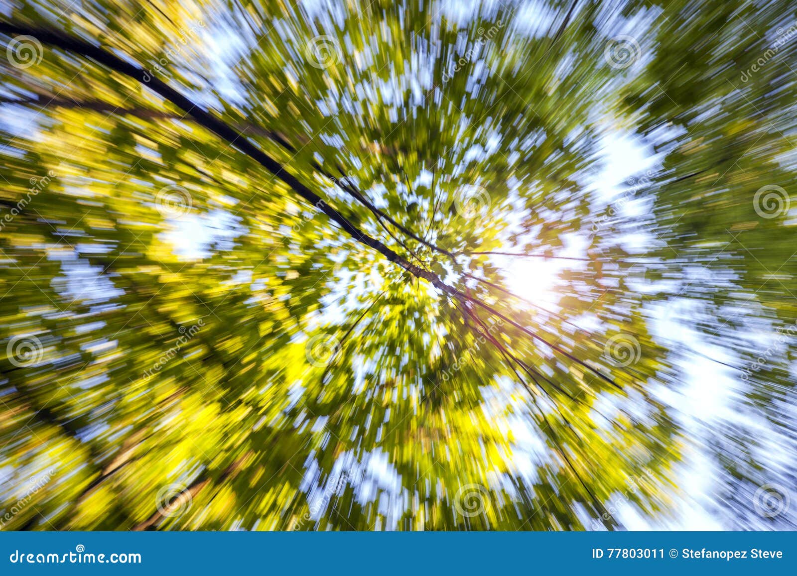 Summer Sunny Tree Explosion. Color Image Stock Image - Image of ...