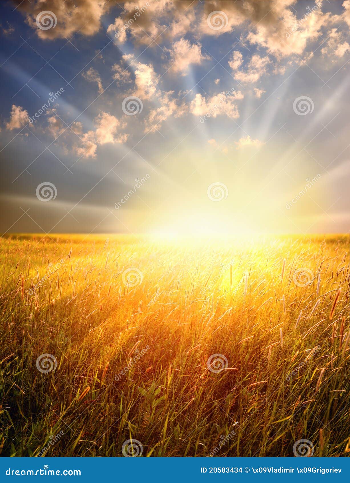 Summer sunset stock photo. Image of cloudscape, outdoors - 20583434