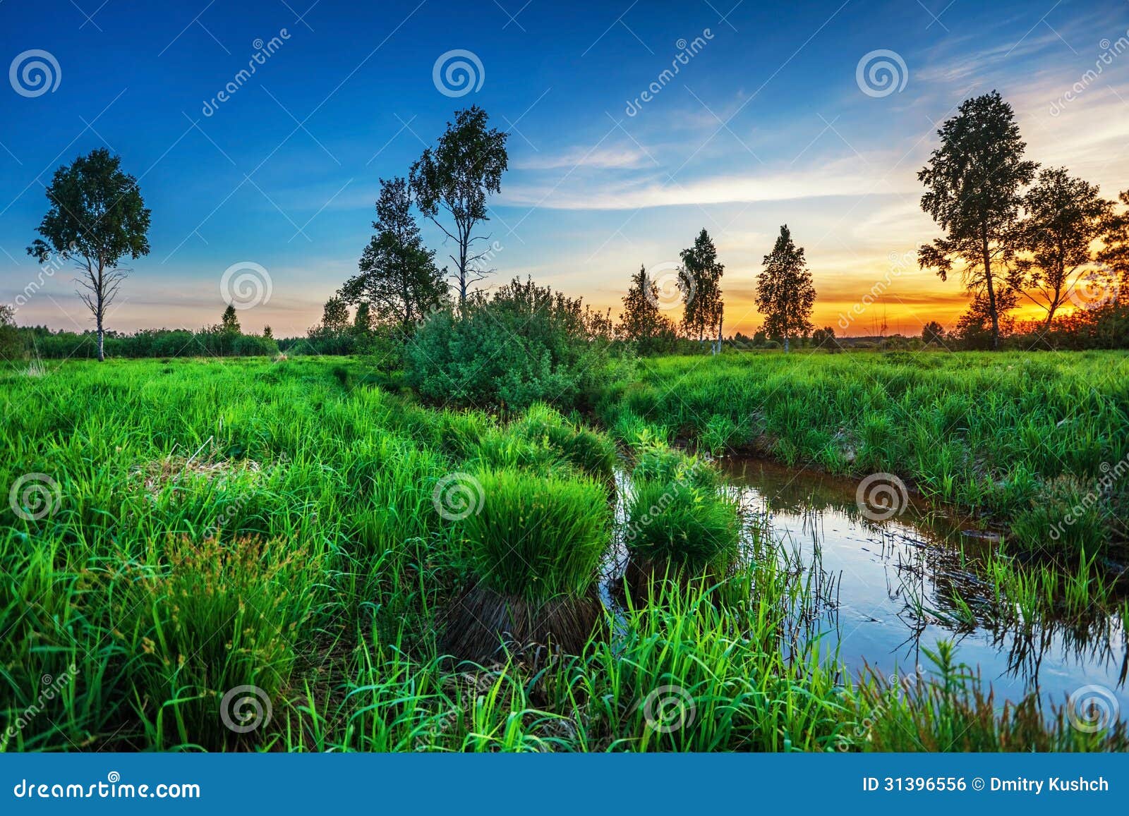 Summer Sunset Around Field and River Stock Photo - Image of autumn ...