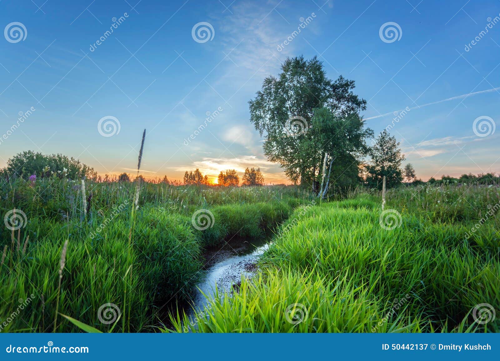 Summer Sunset Around Field and River Stock Image - Image of cloud ...