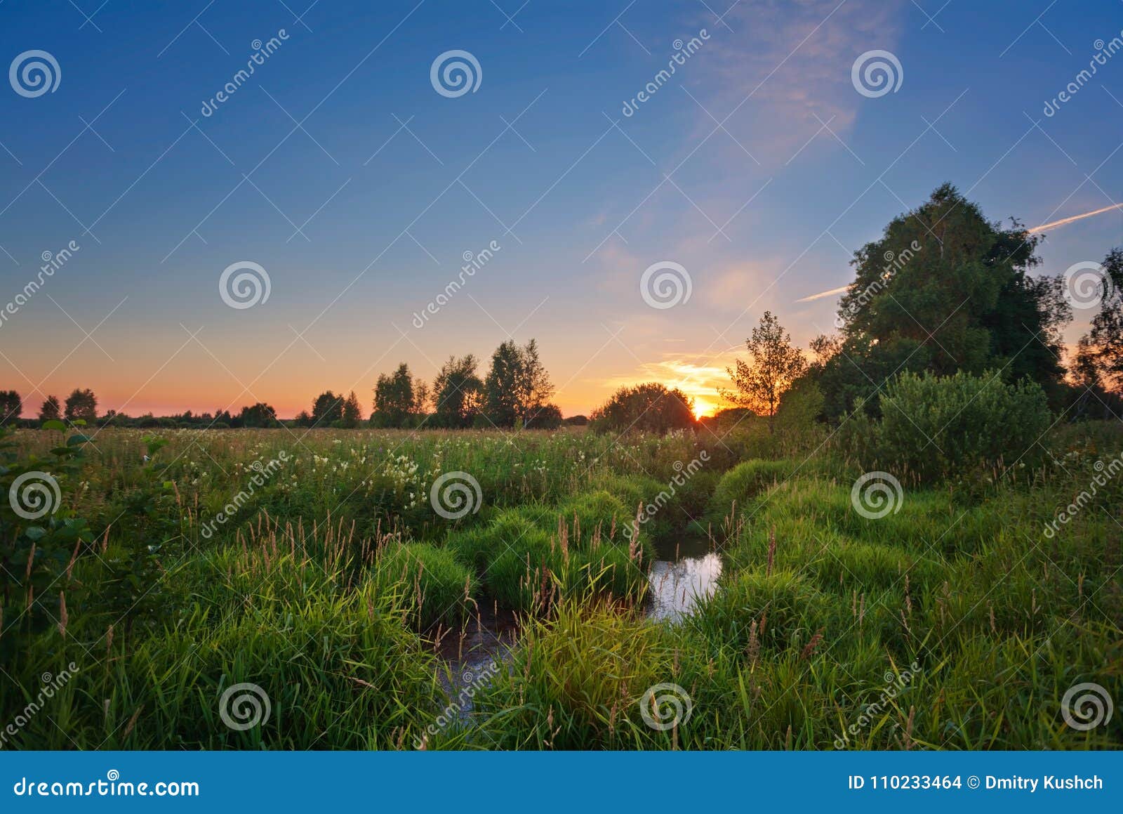 Summer Sunset Around Field and River Stock Photo - Image of gold, grass ...