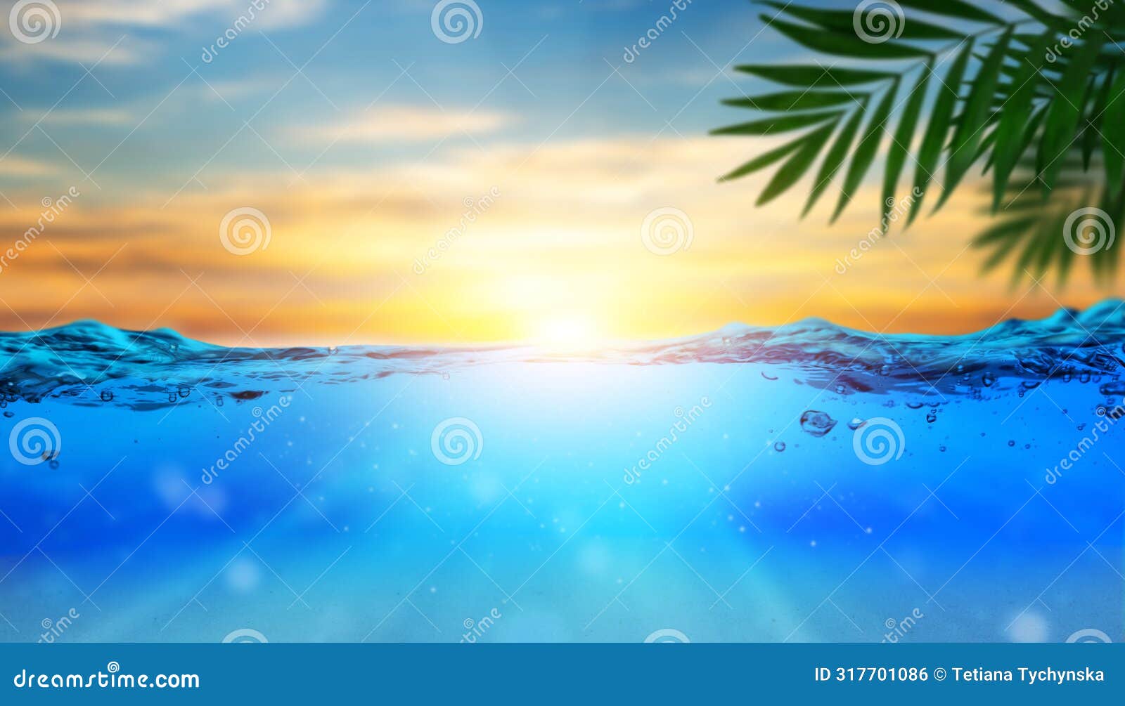 Summer Sunset Background with Deep Underwater Ocean Scene. Copy Space ...
