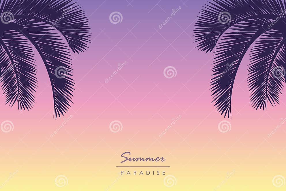 Summer Sunset Background With Palm Trees Stock Vector Illustration Of