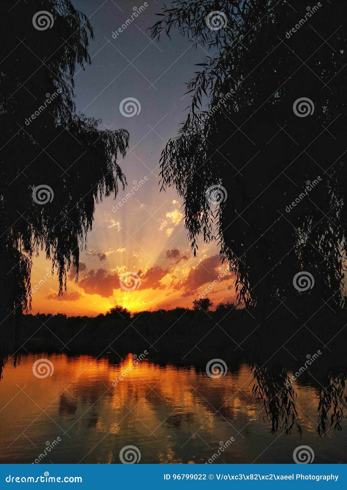 Summer sunset stock photo. Image of nature, sunset, summertime - 96799022