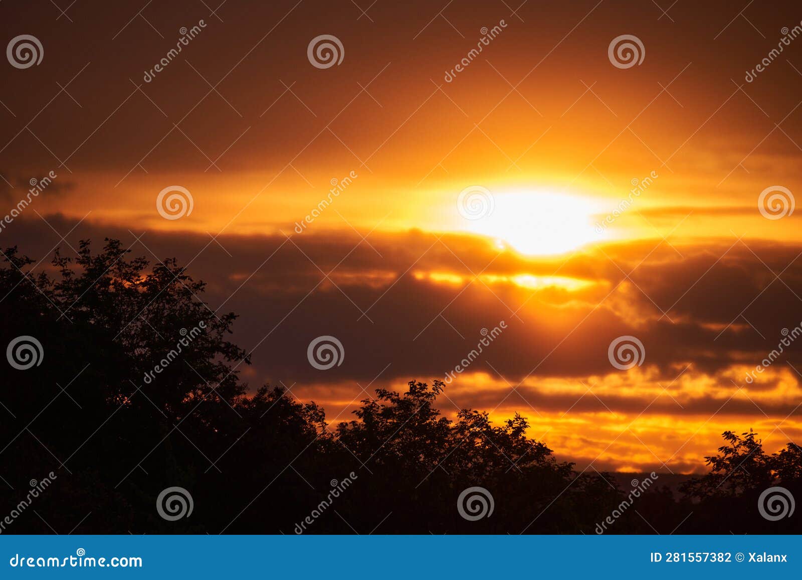 Summer Sunset in the Forest Stock Photo - Image of clouds, branches ...