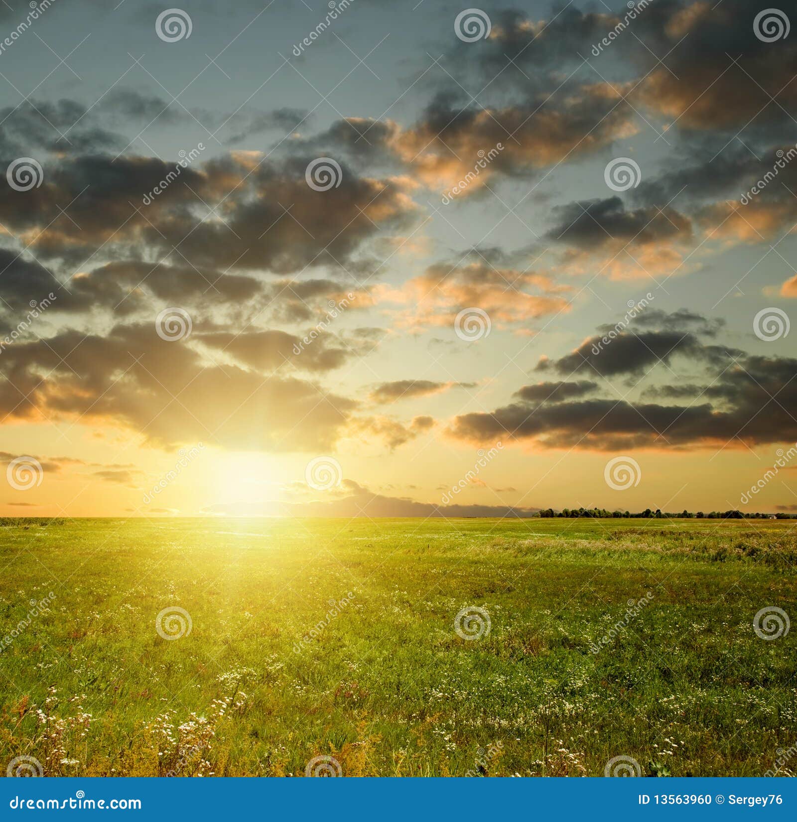 Summer sunset landscape stock photo. Image of grass, sunlight - 13563960