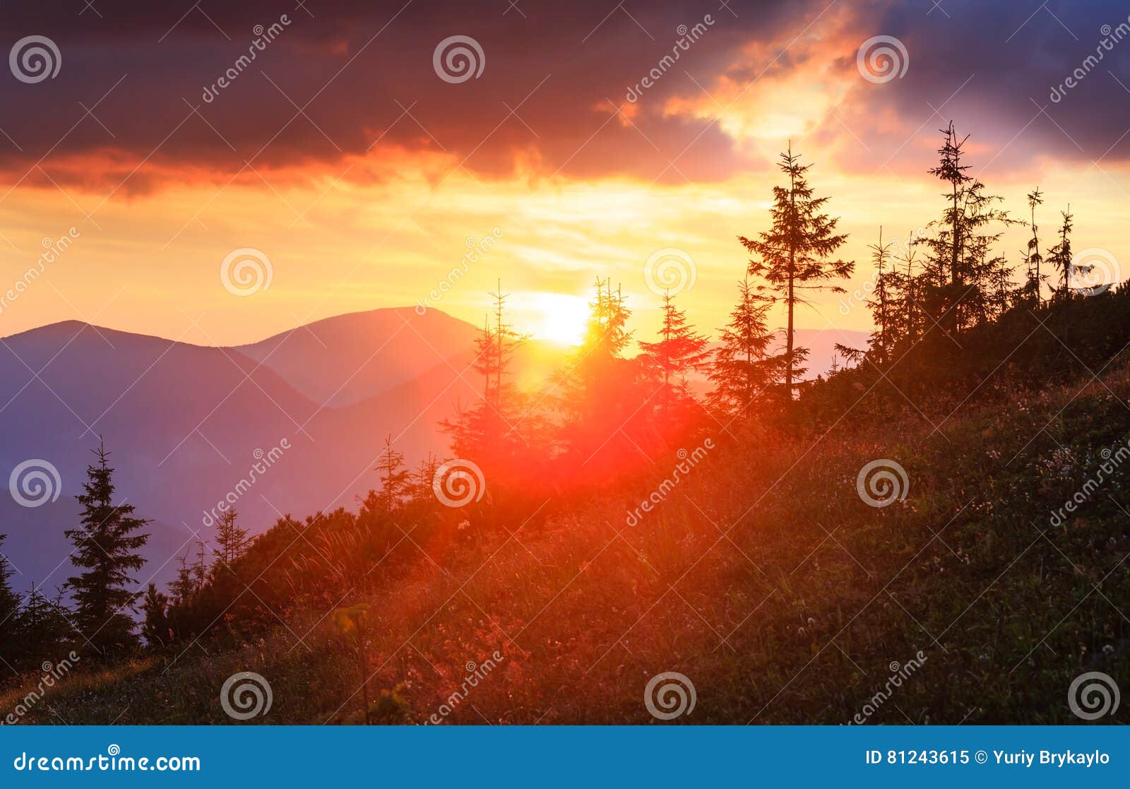 Summer Sunset Mountain View Carpathian, Ukraine. Stock Image - Image of ...
