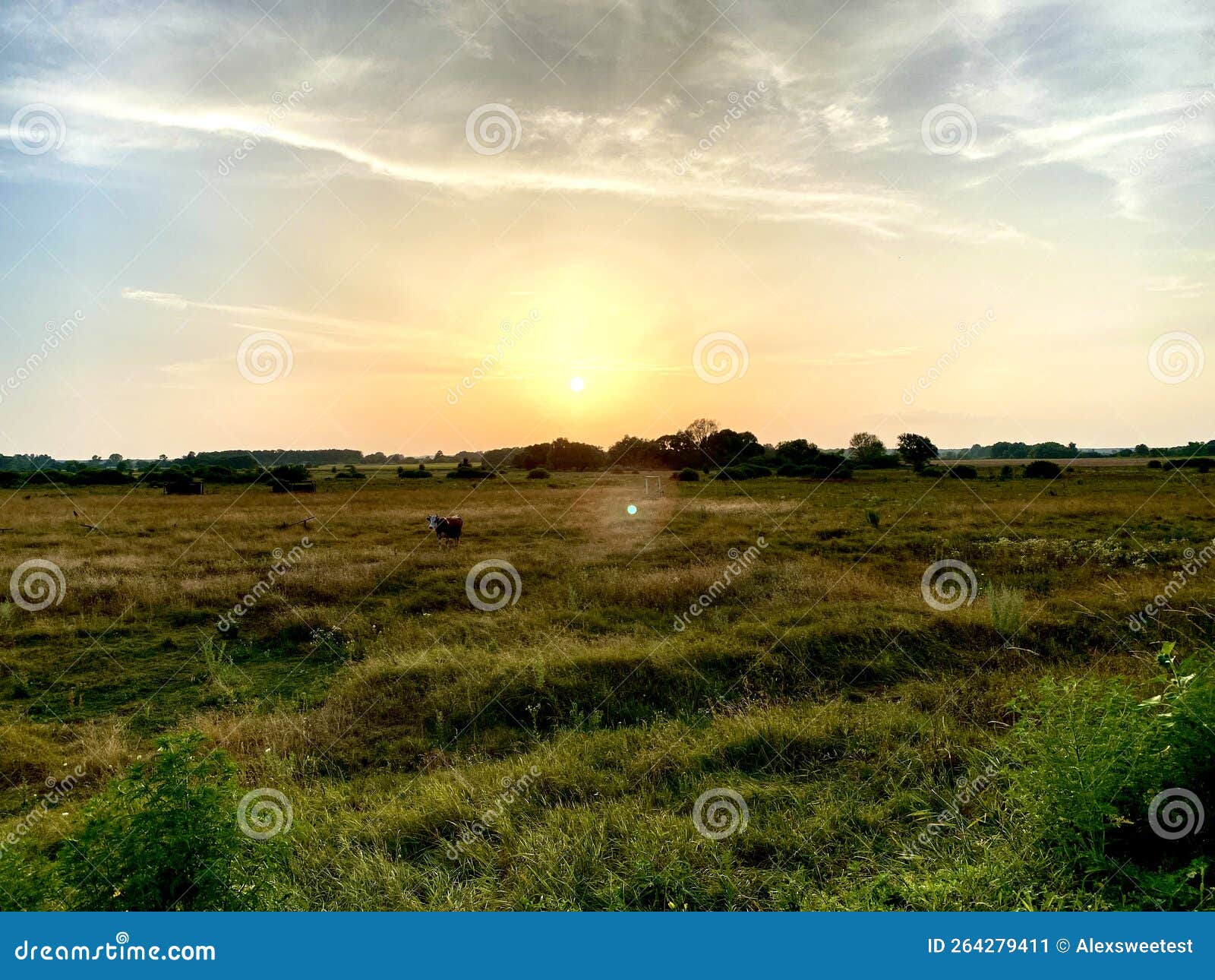 Summer Sunset Over the Field Stock Image - Image of cloud, sunrise ...
