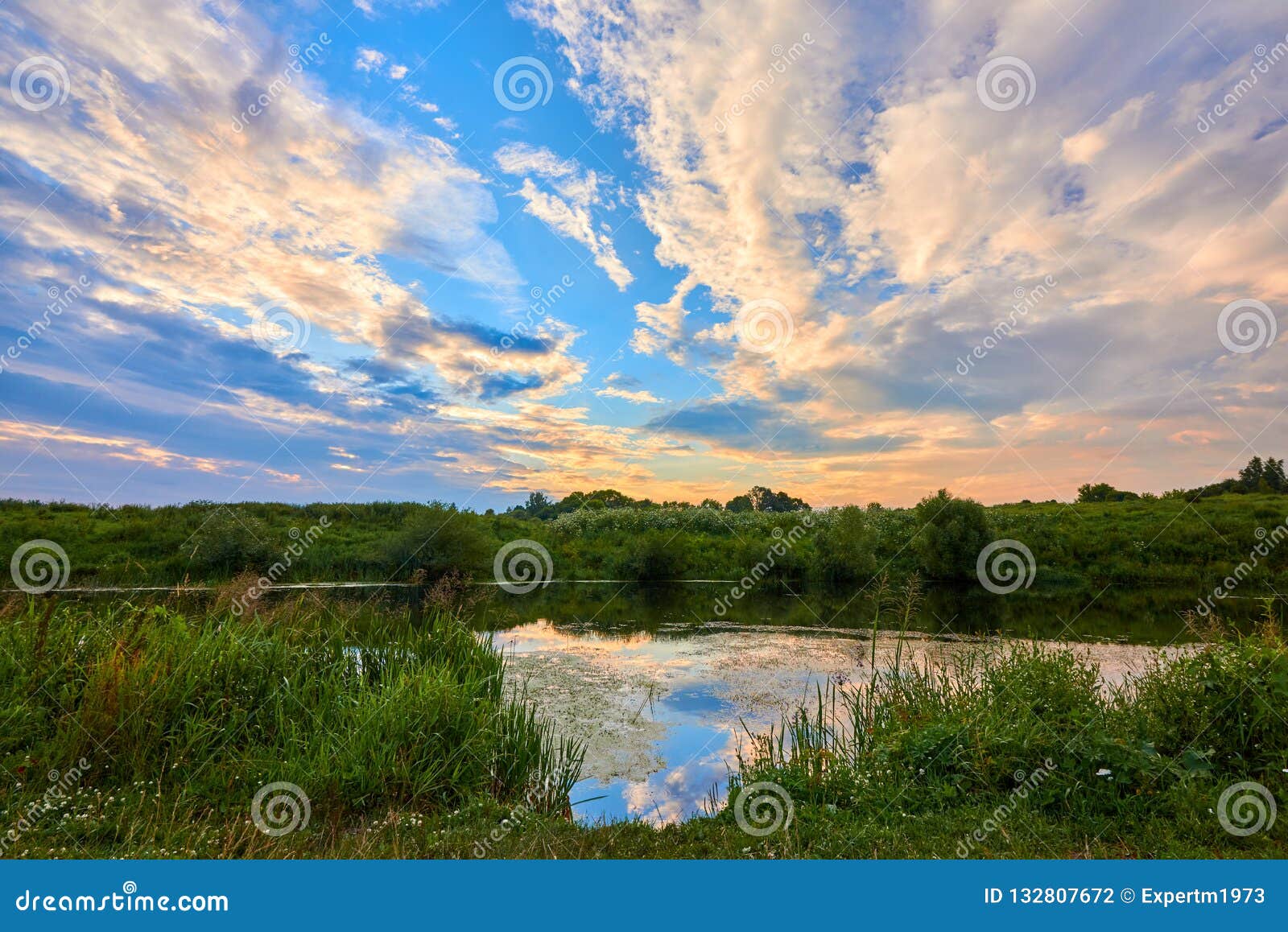 Summer Sunset Over Over the Overgrown Green Pond Stock Photo - Image of ...