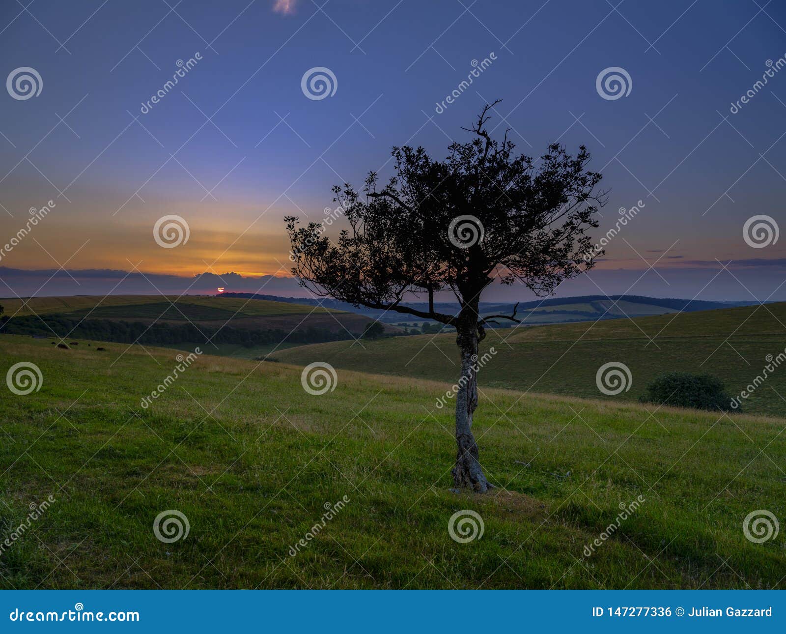 Summer Sunset Over the South Downs - High Resolution Stitched Panorama ... Summer Sunset Over the South Downs - High Resolution Stitched Panorama ...
