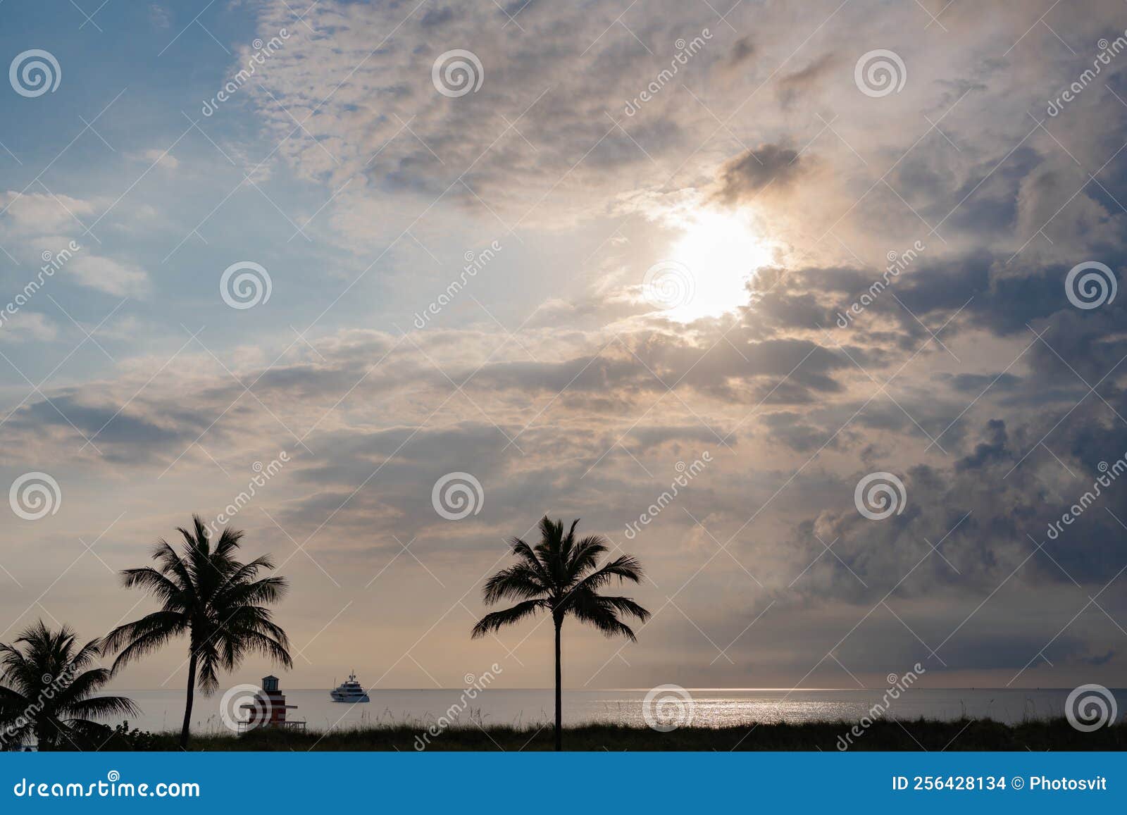 Summer Sunset with Palm Trees in Miami Stock Photo - Image of exotic ...
