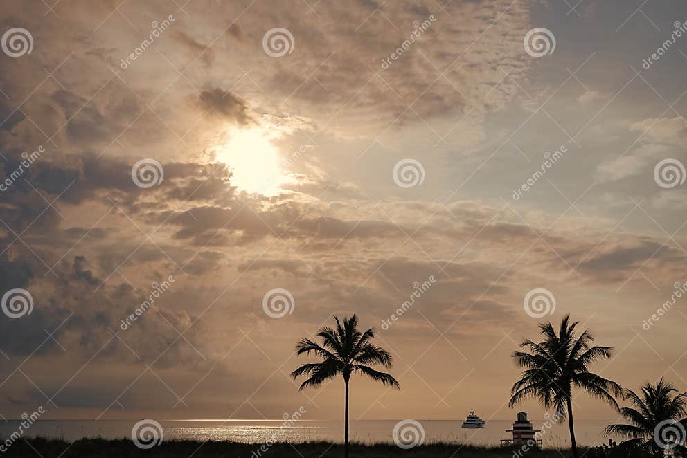 Summer Sunset with Palm Trees in Miami Stock Photo - Image of natural ...