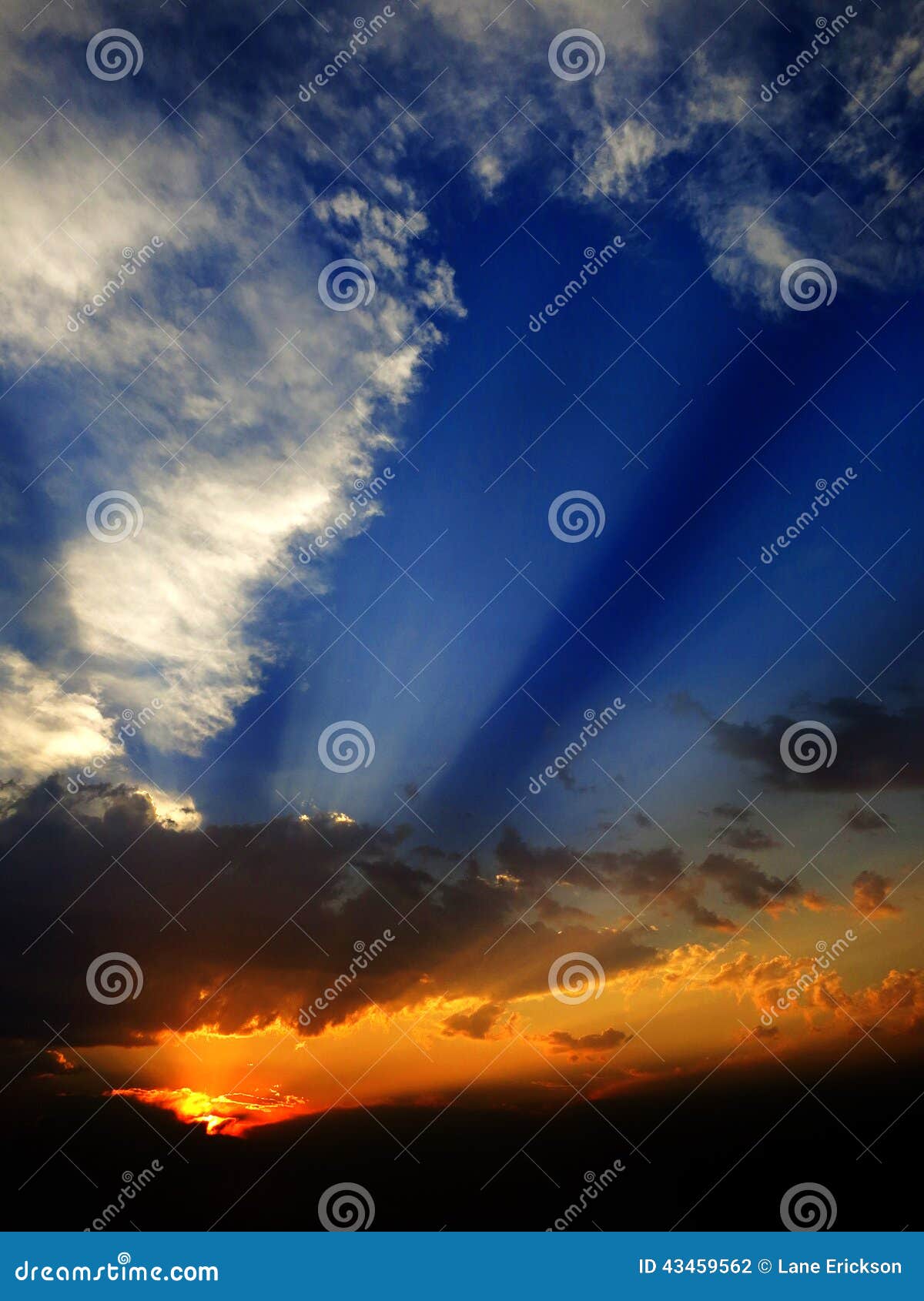 Summer Sunset with Rays Beams of Sunlight Stock Photo - Image of ...