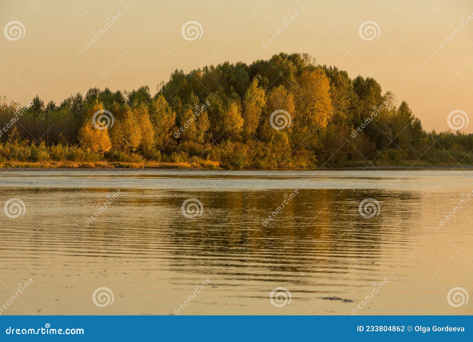 Summer Sunset on the River , Sunset by the Water Stock Photo - Image of ...