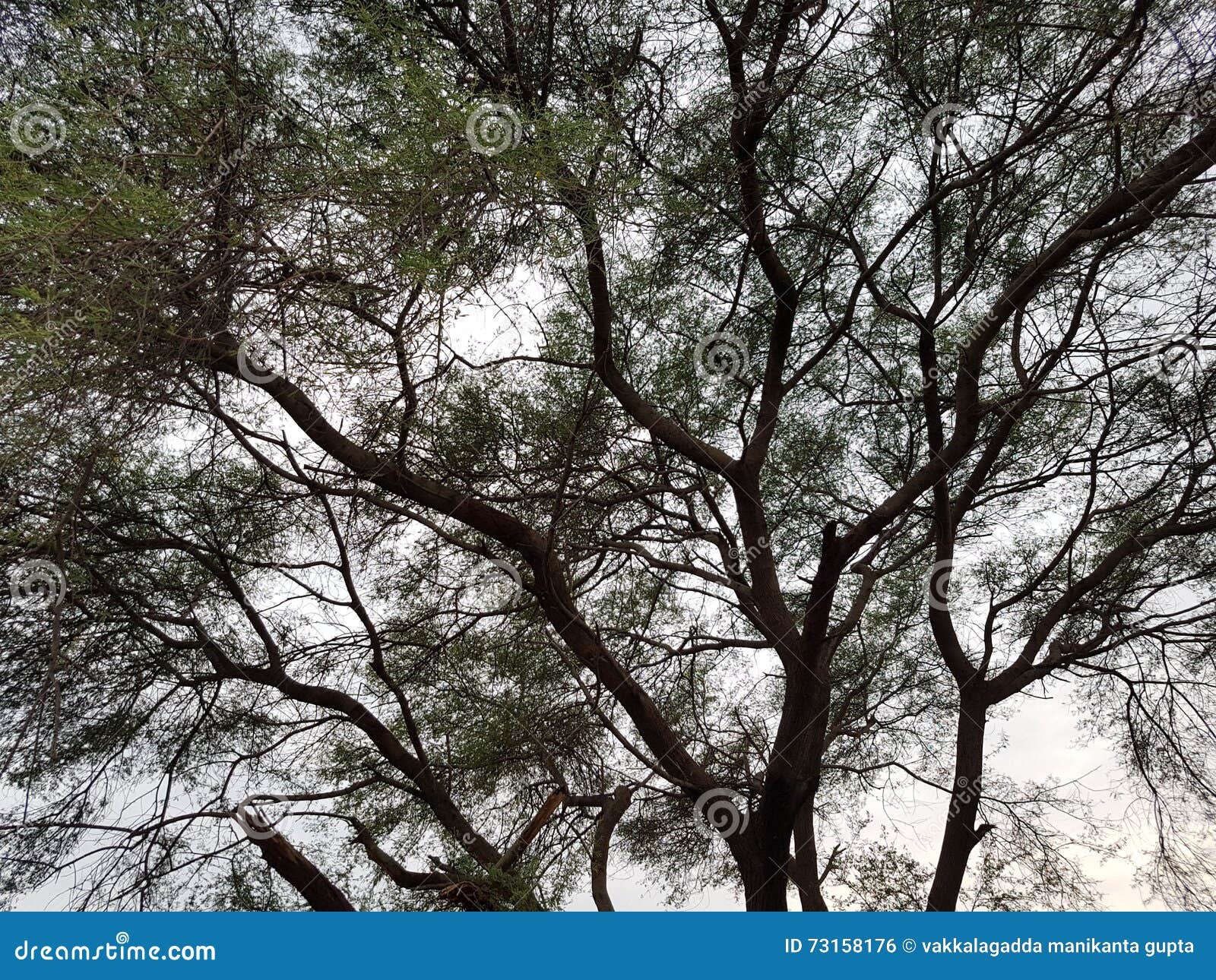 Summer sunset super sceen stock photo. Image of excellent - 73158176