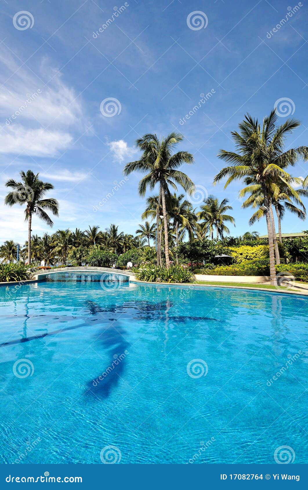 Summer Swimming Pool stock photo. Image of relaxation - 17082764