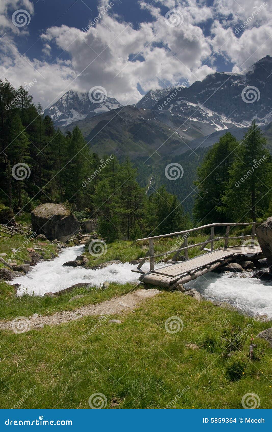 Summer swiss alps stock photo. Image of path, green, alps - 5859364
