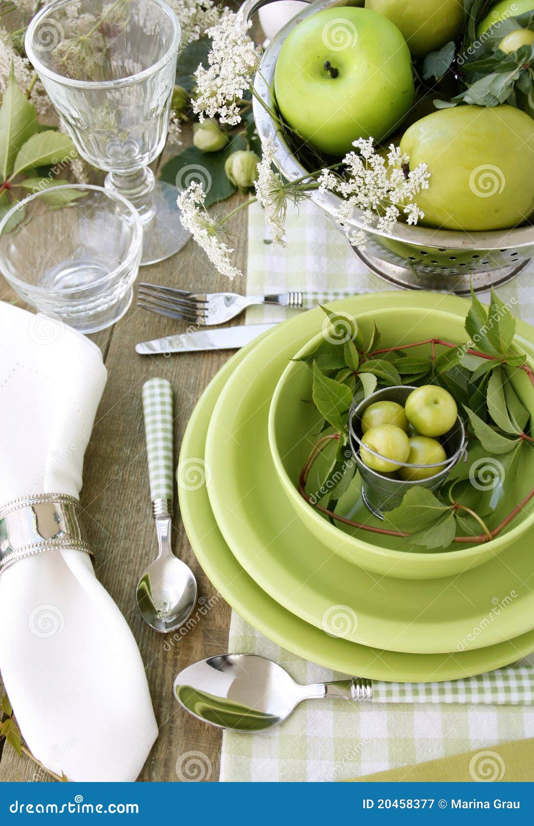 Summer table setting stock image. Image of garden, dinner - 20458377