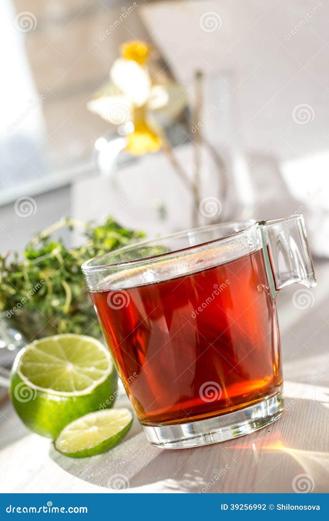 Summer tea stock photo. Image of vegetarian, spring, thyme - 39256992