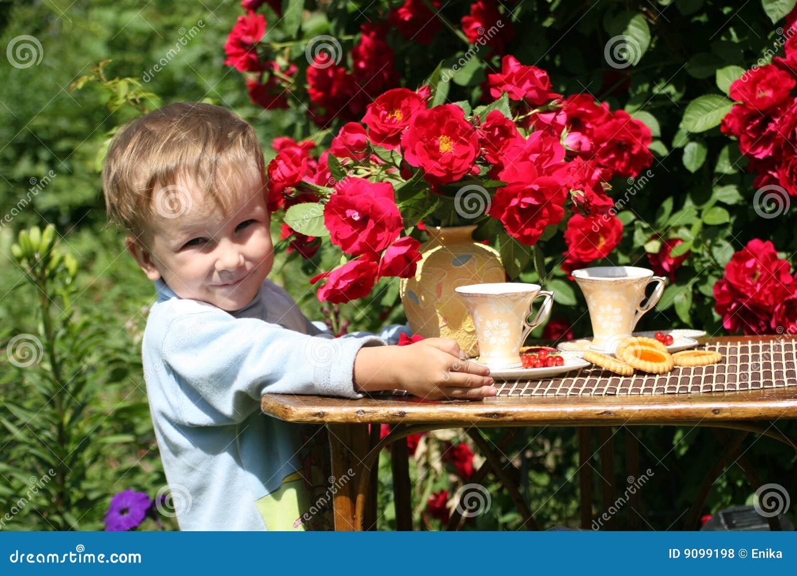Summer tea in a garden stock photo. Image of floral, emotion - 9099198