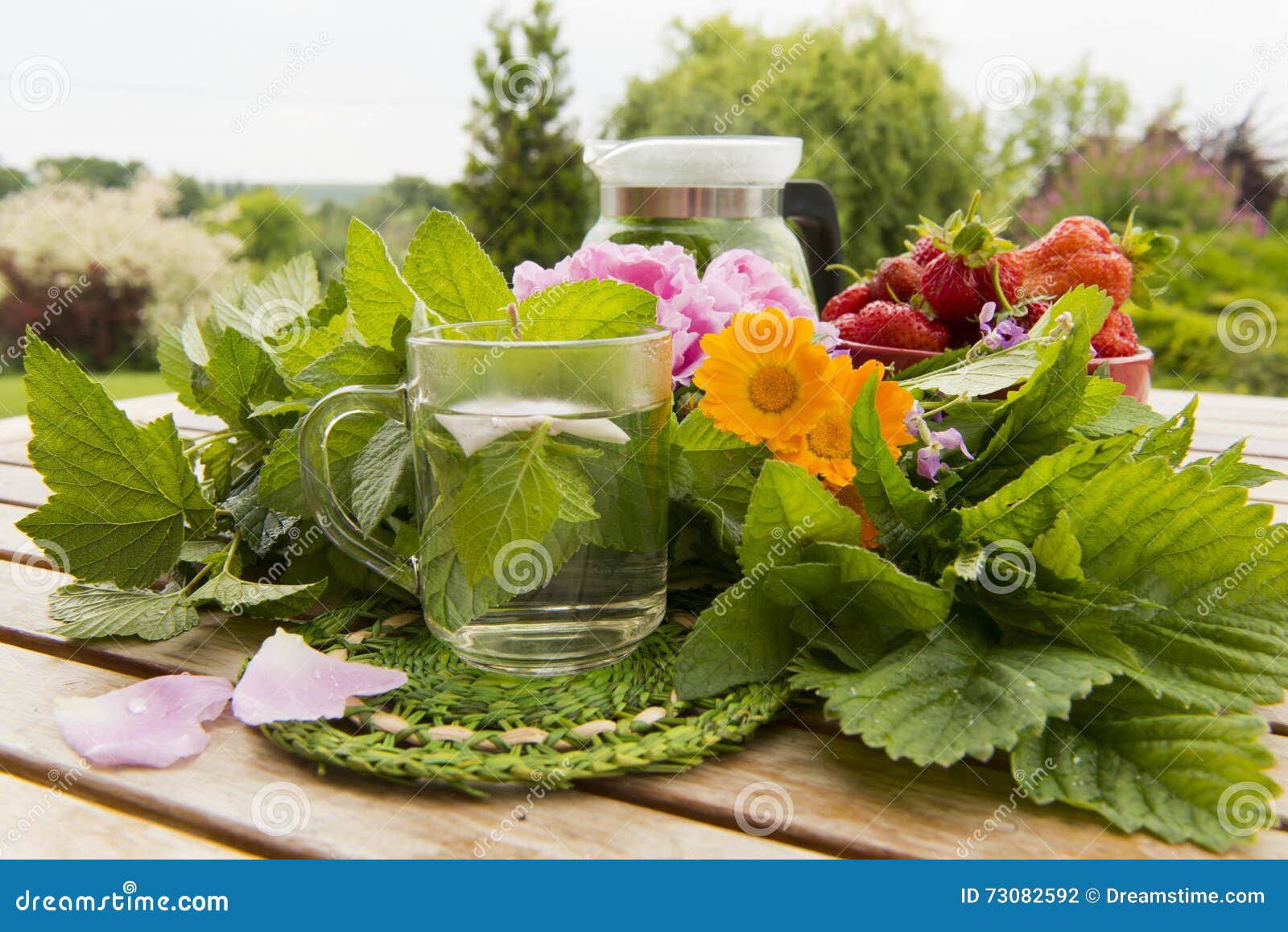 Summer tea stock photo. Image of sunny, home, rural, morning - 73082592