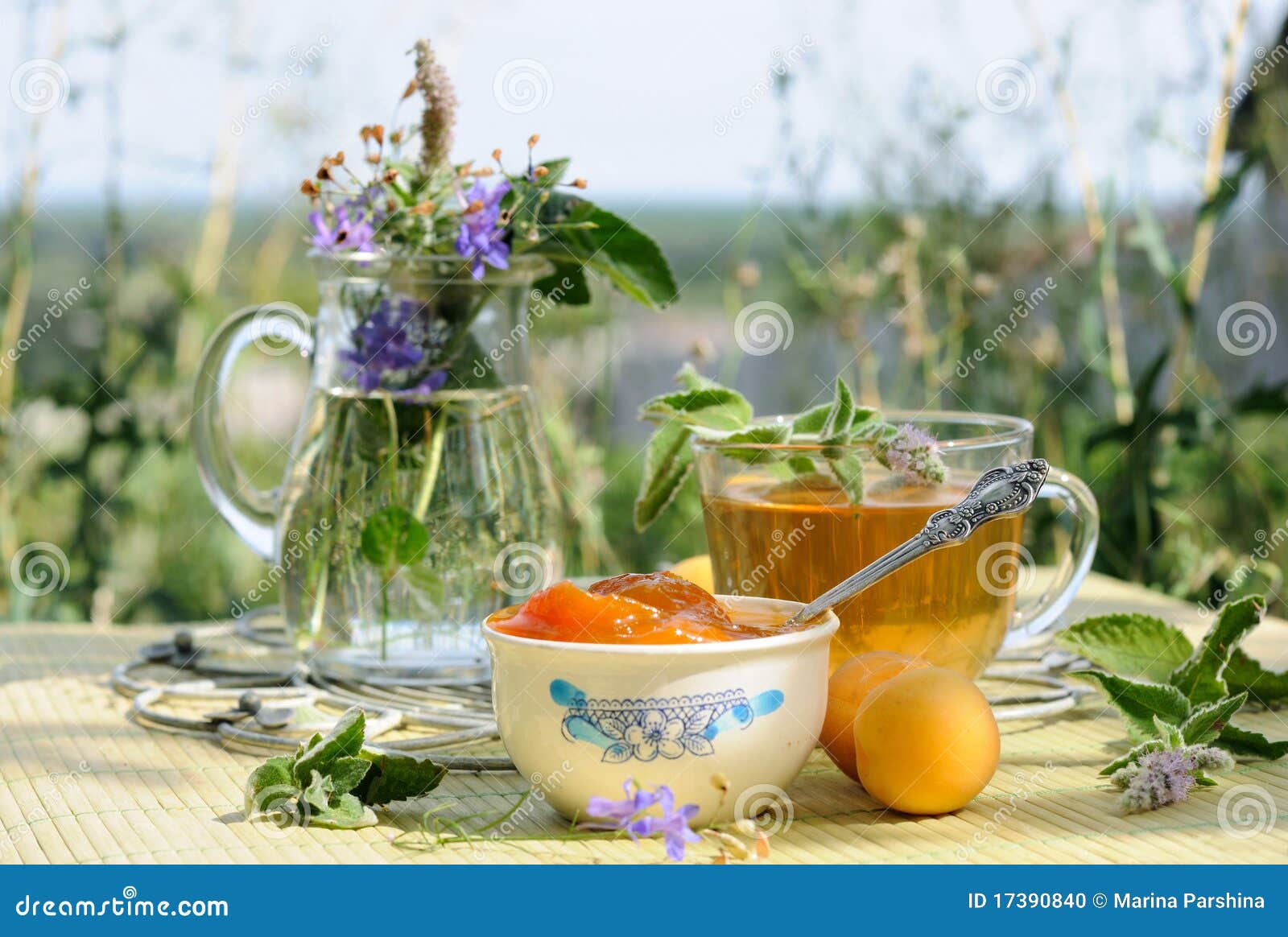 Summer tea time stock photo. Image of breakfast, fruit - 17390840