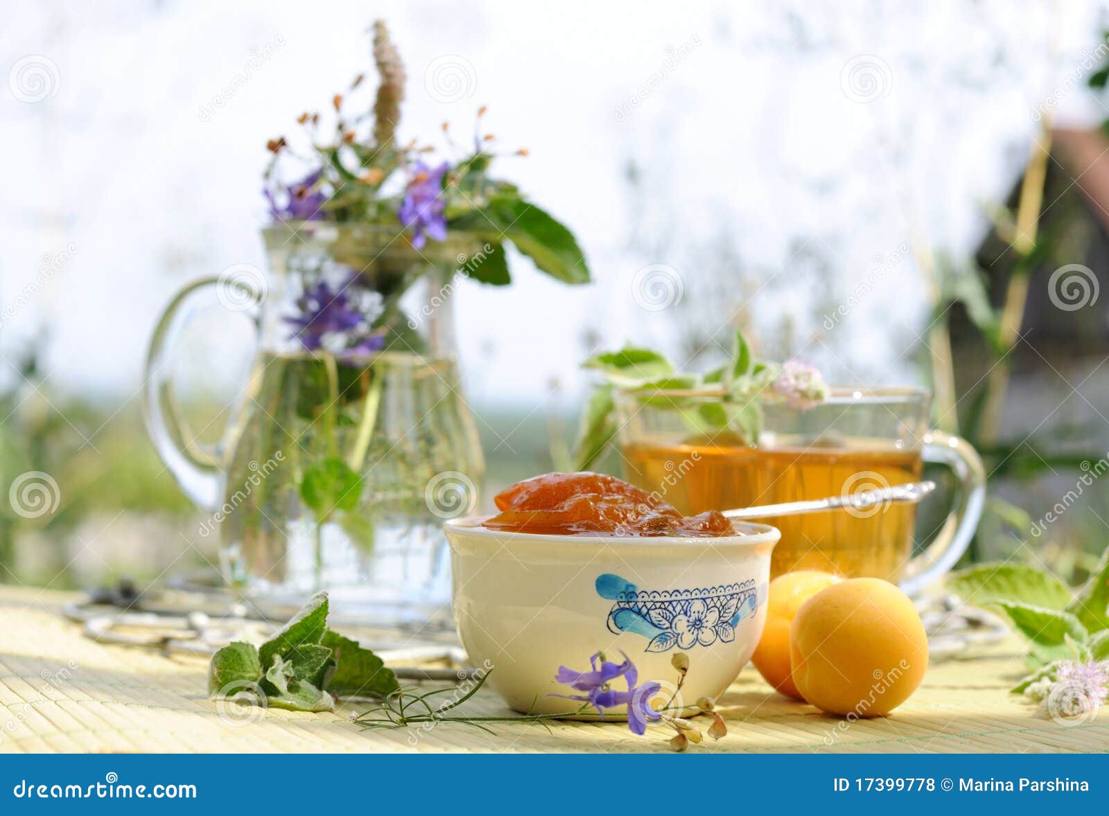 Summer tea time stock photo. Image of preserves, apricots - 17399778
