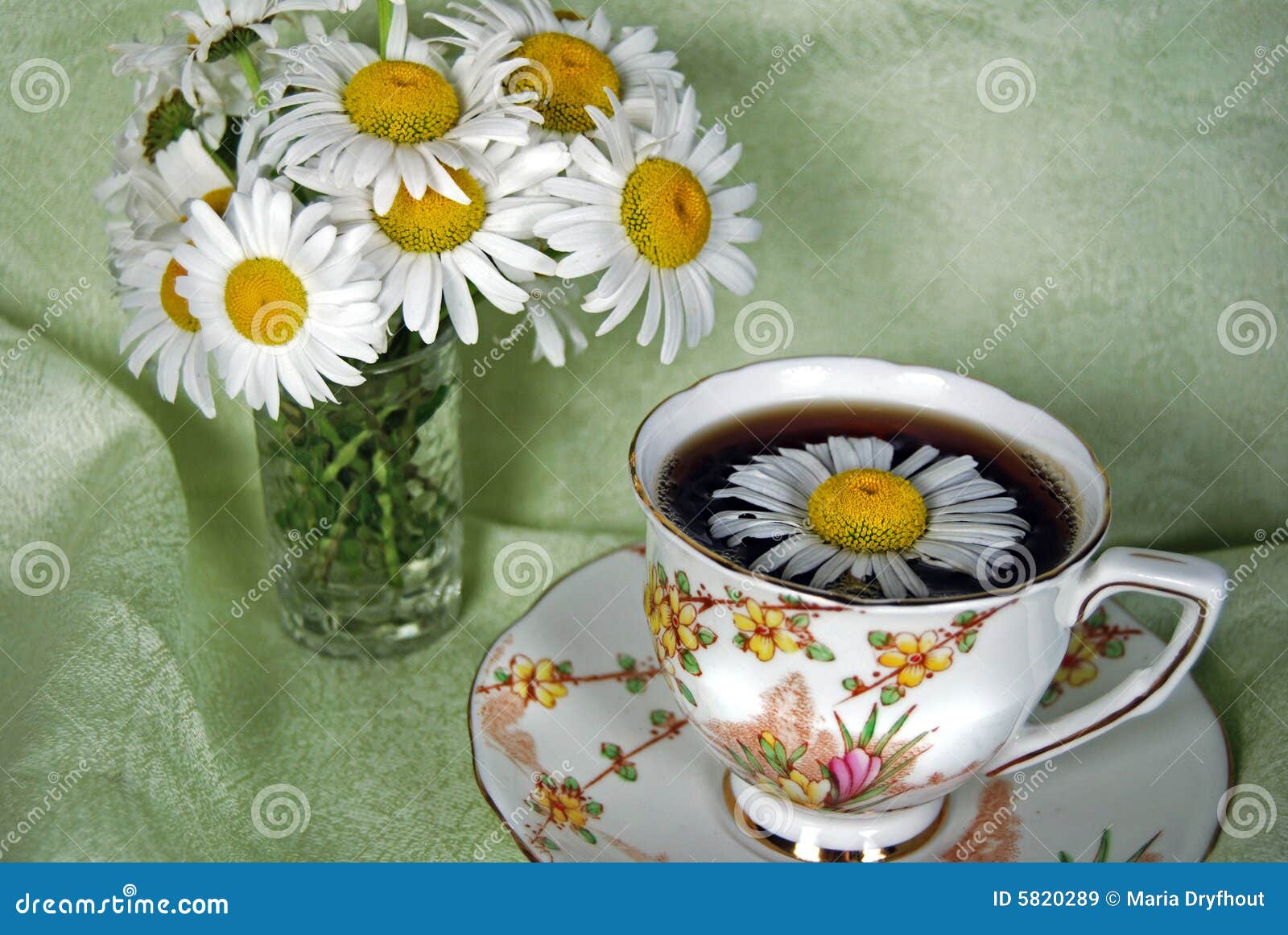 Summer Tea Time stock image. Image of dainty, drink, bloom - 5820289