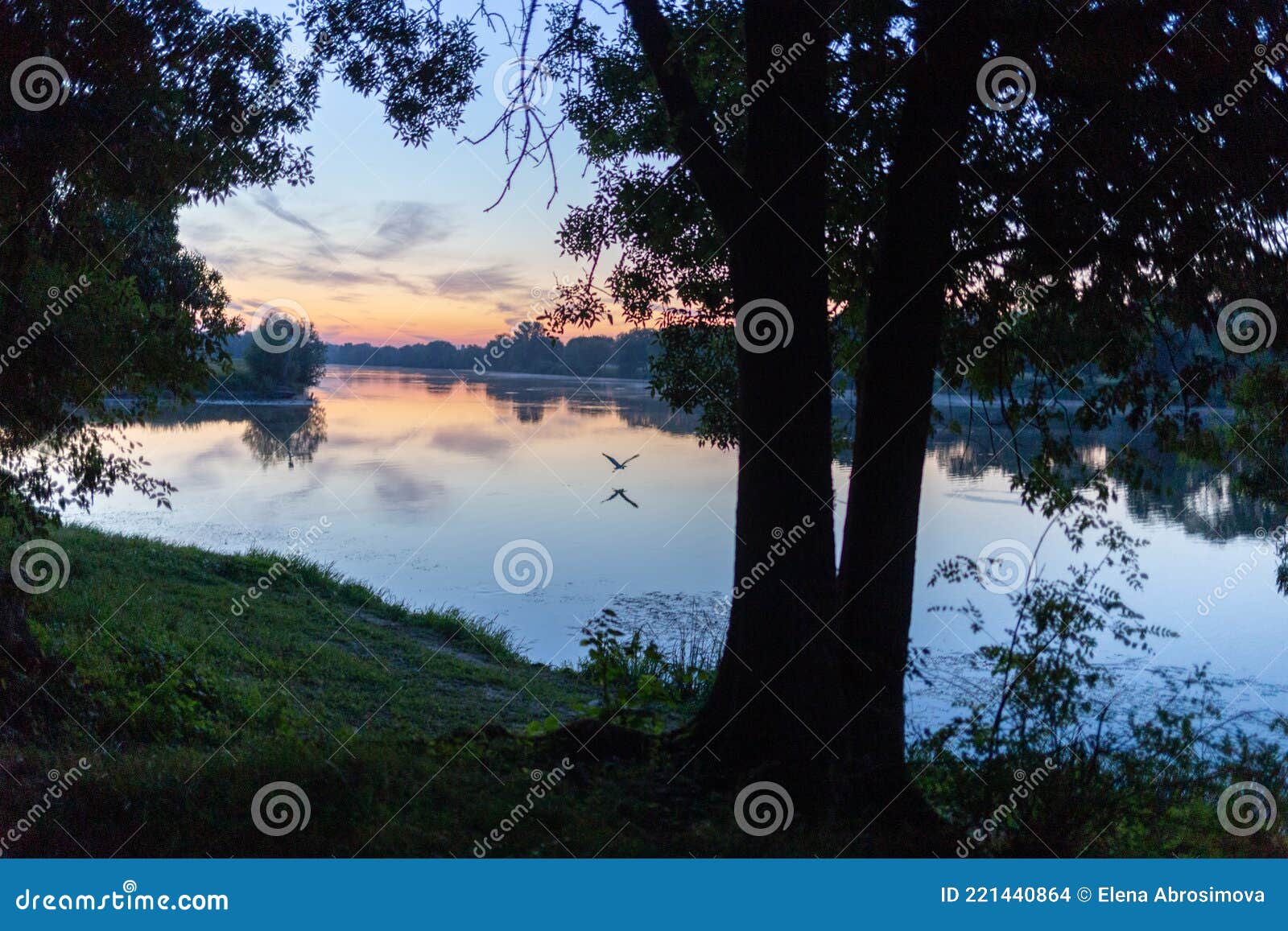 Summer Time Golden Hour Landscape Stock Photo - Image of forest, beauty ...
