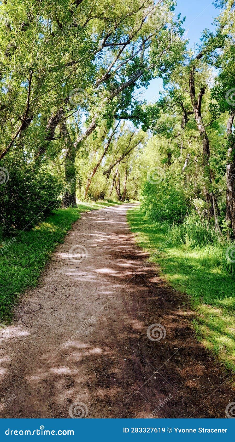 Summer time lake path stock image. Image of clouds, path - 283327619 Summer time lake path stock image. Image of clouds, path - 283327619