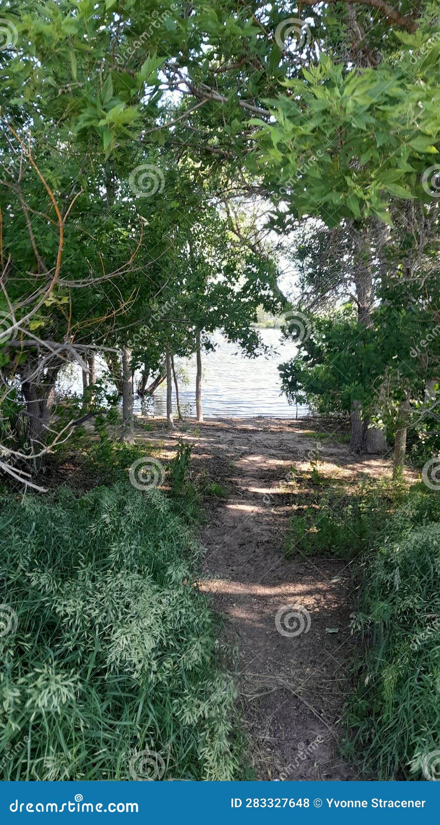 Summer time lake path stock photo. Image of summer, trees - 283327648 Summer time lake path stock photo. Image of summer, trees - 283327648