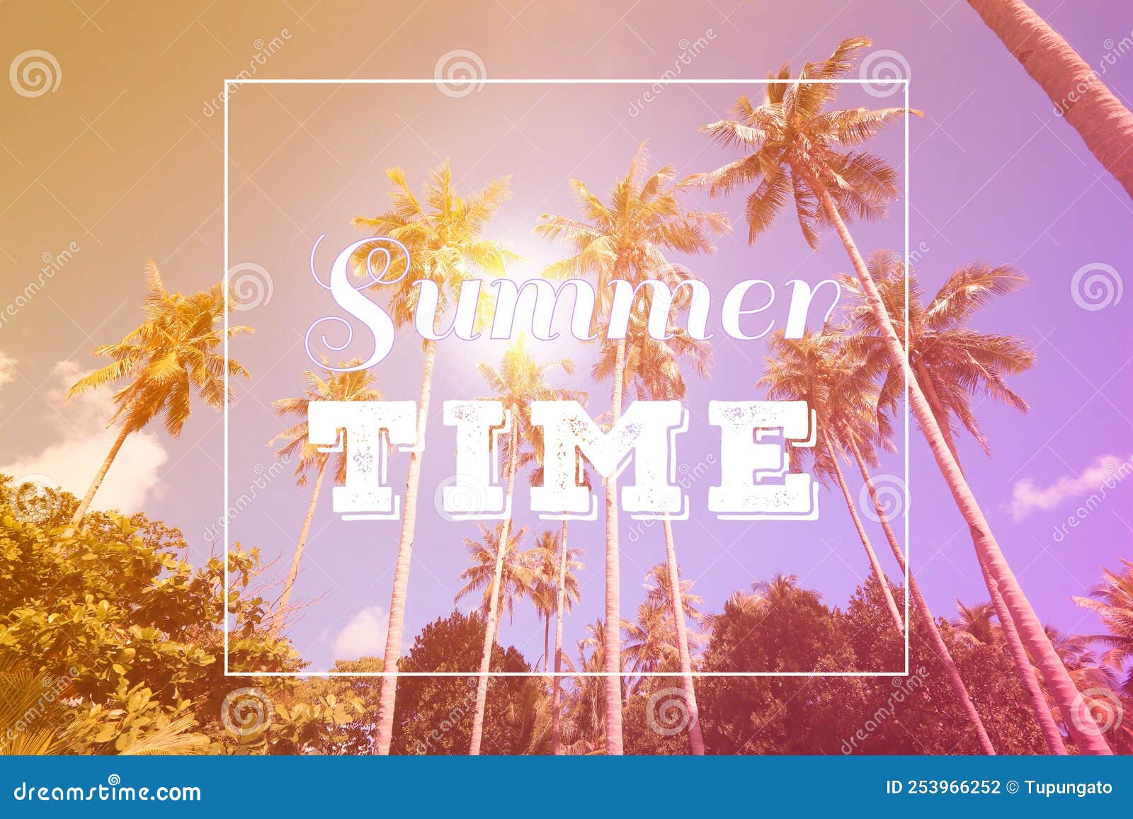 Summer time poster stock photo. Image of website, palm - 253966252