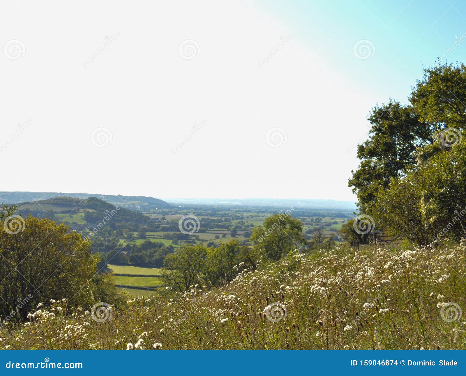 Landscape View of the Somerset Levels Stock Photo - Image of summer ...