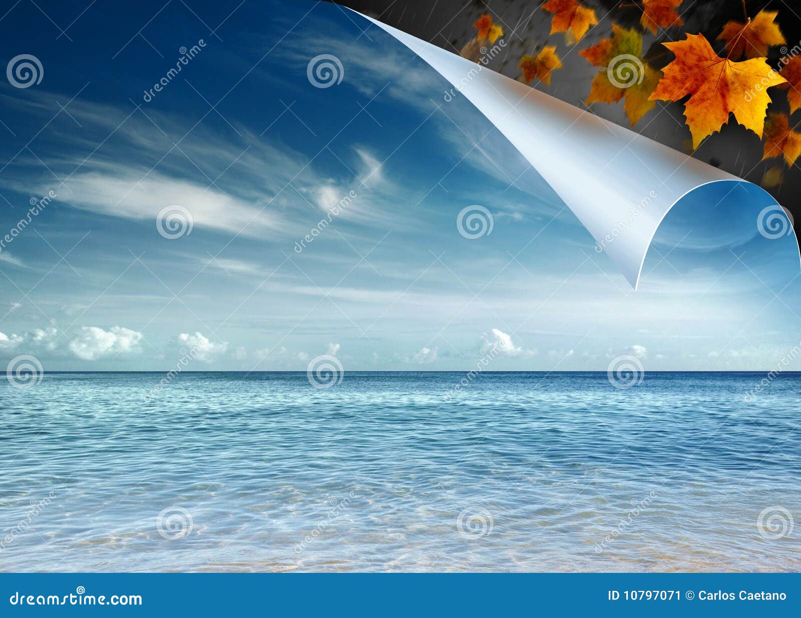 Summer to Fall stock image. Image of falling, clear, curl - 10797071